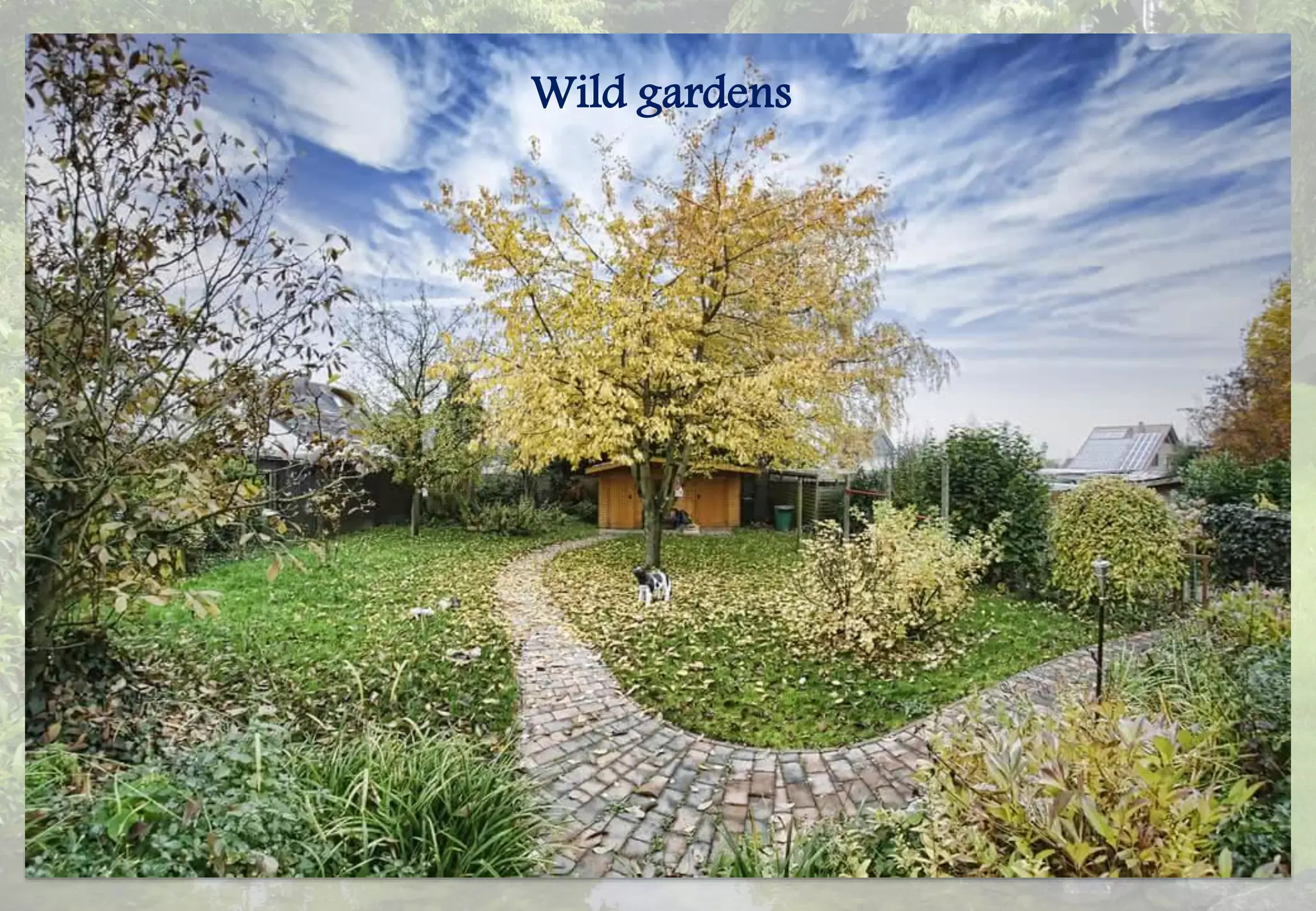 history, scope and importance of gardening, aesthetic values and ...