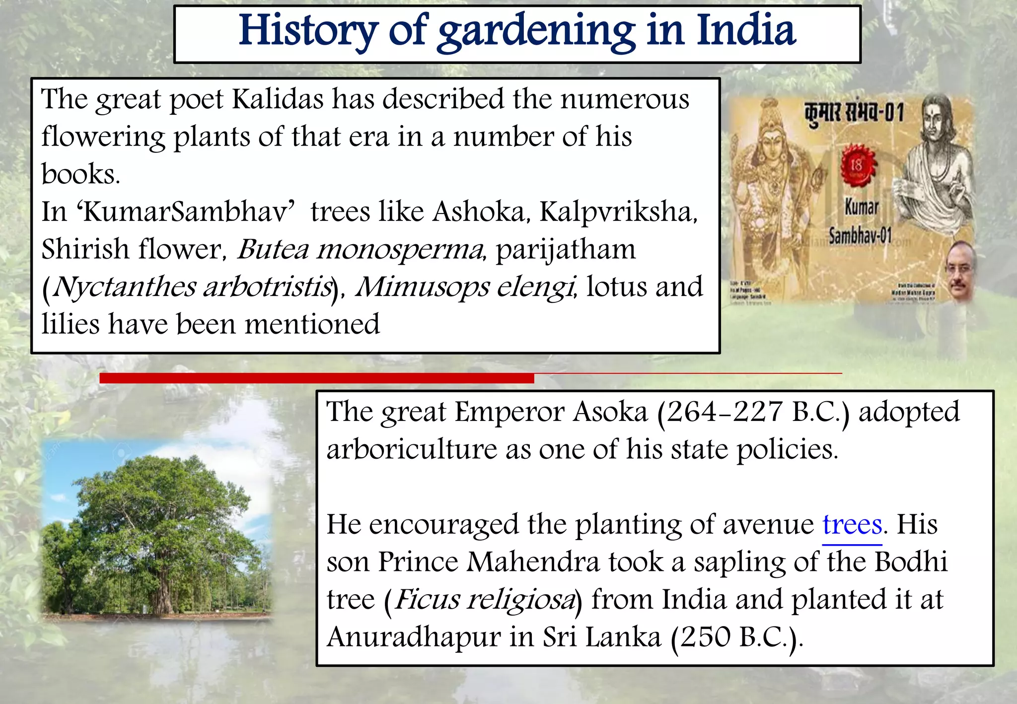history, scope and importance of gardening, aesthetic values and ...