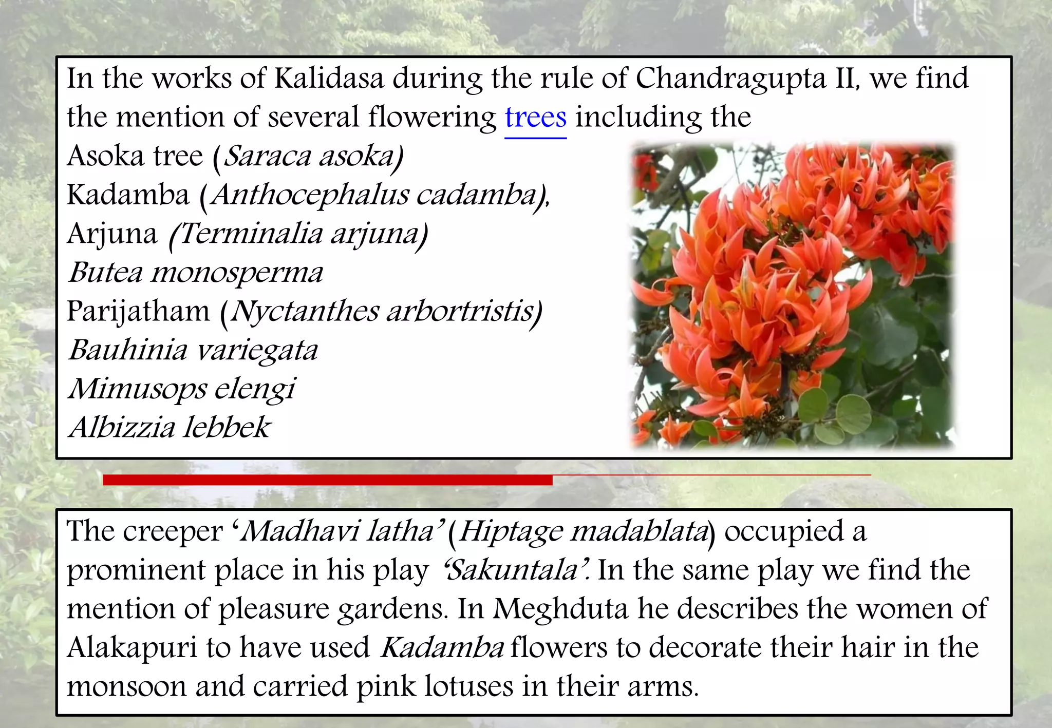 history, scope and importance of gardening, aesthetic values and ...