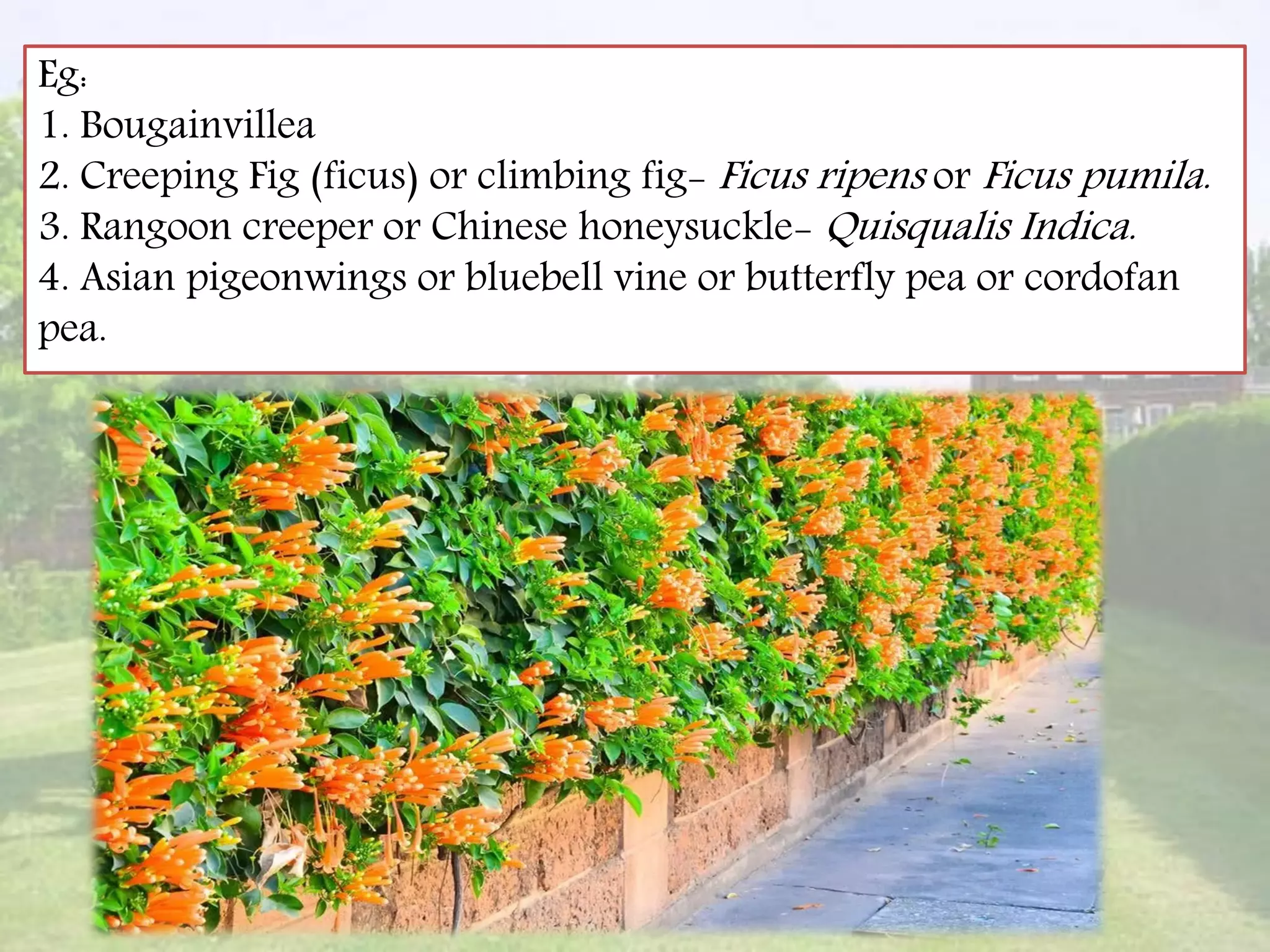 Definition of landscaping, basic principles and components | PDF