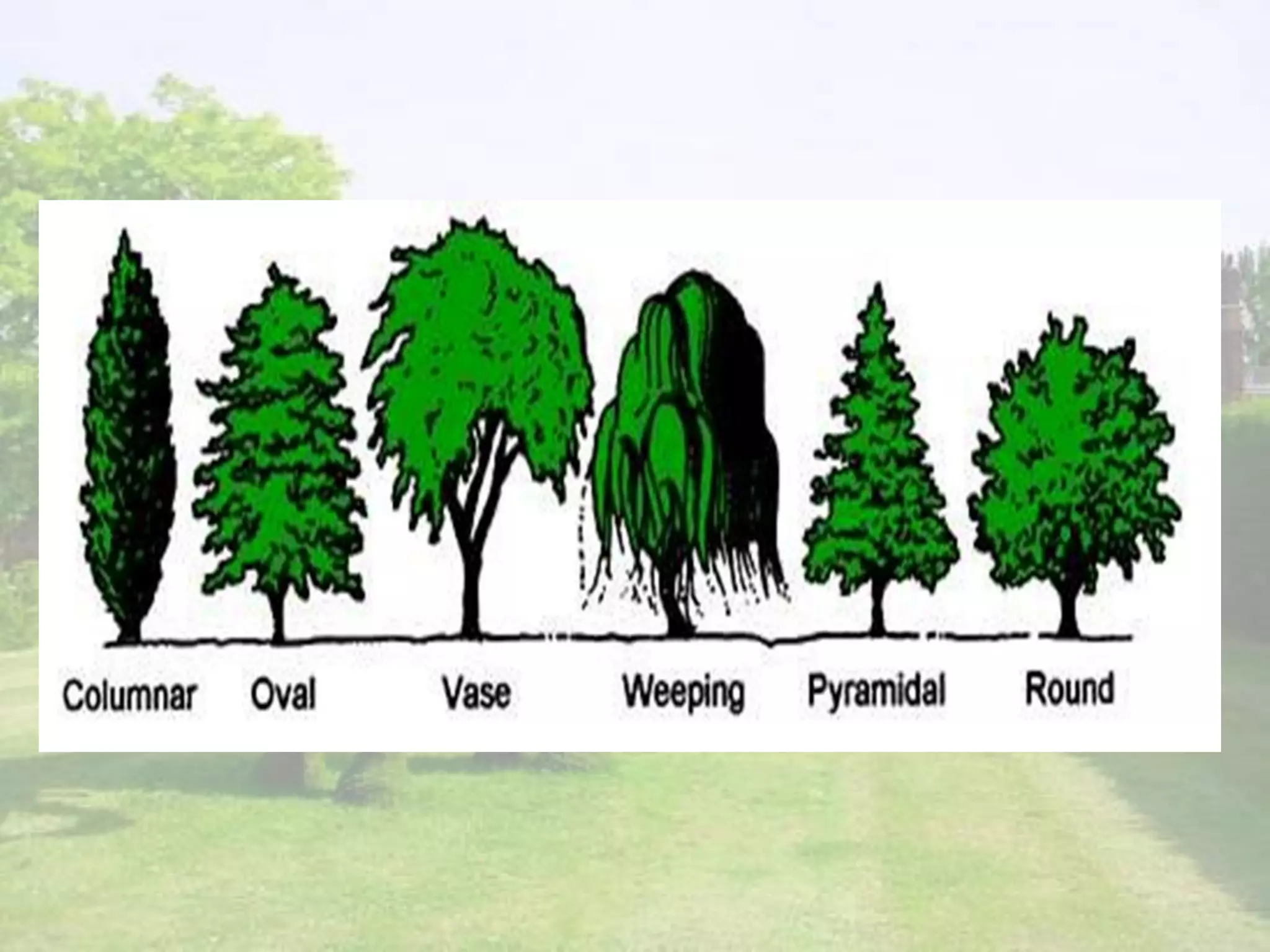 Definition of landscaping, basic principles and components | PDF