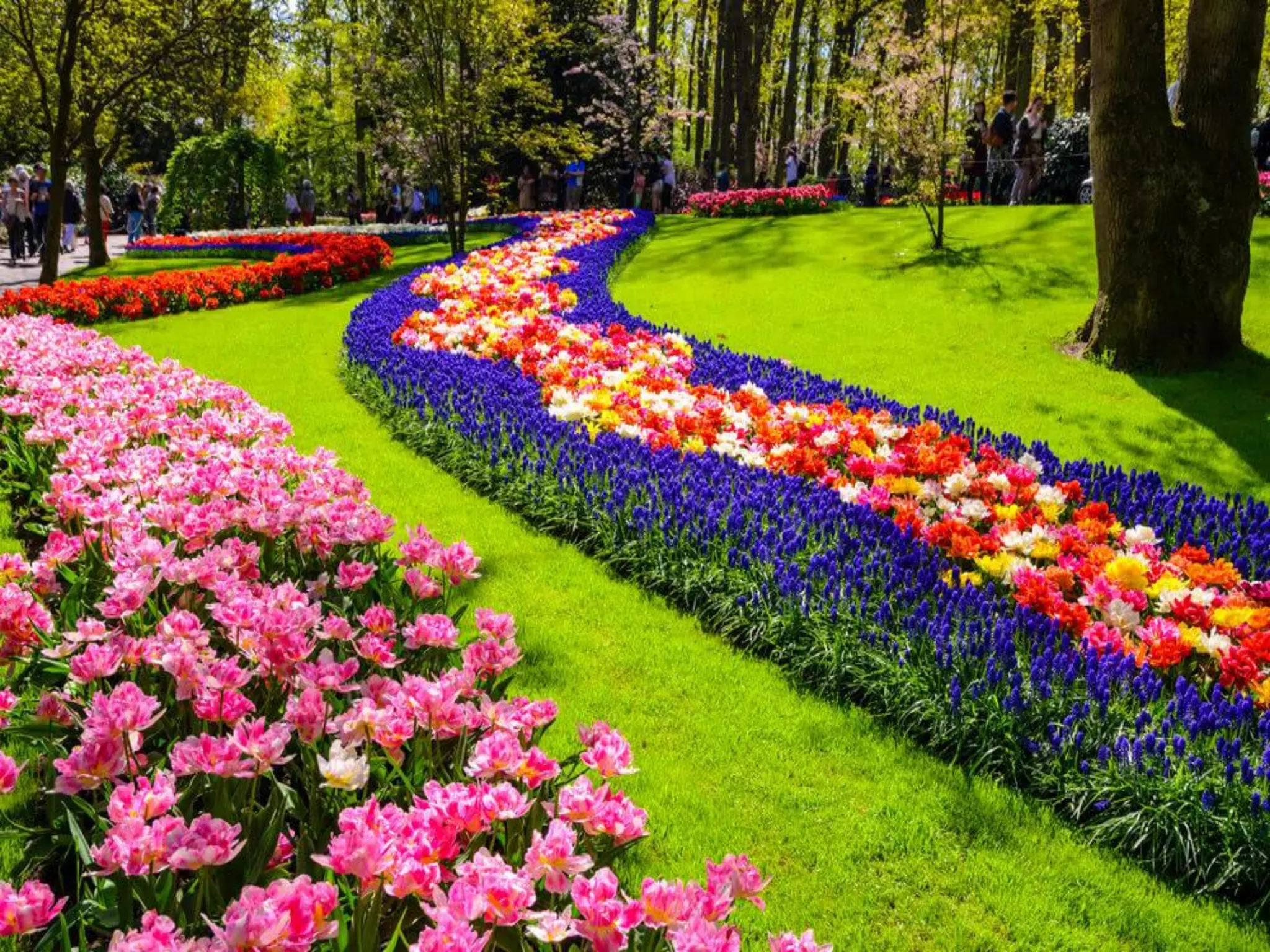 Definition of landscaping, basic principles and components | PDF