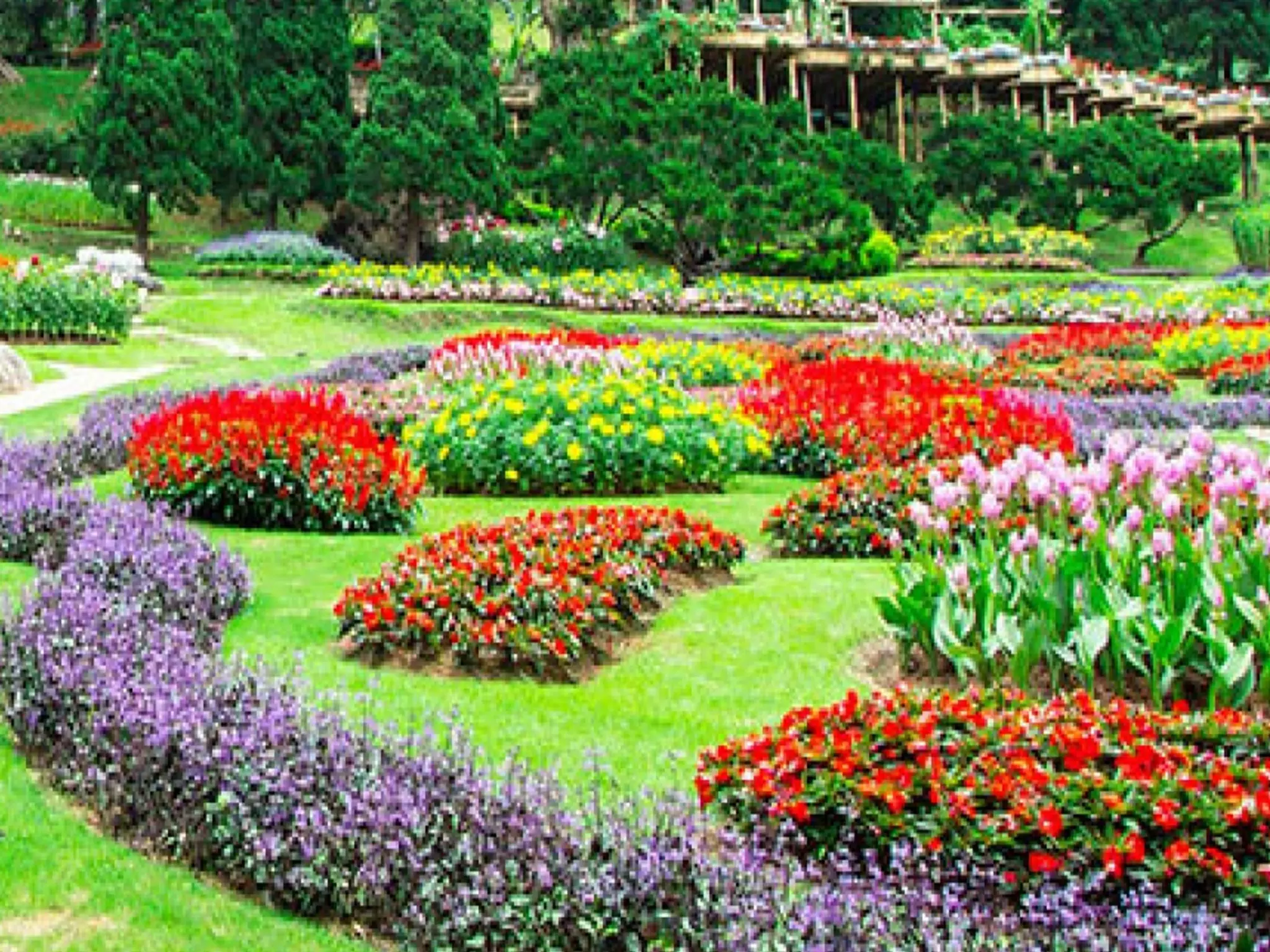 Definition of landscaping, basic principles and components | PDF