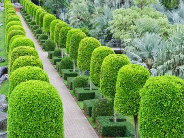 Definition of landscaping, basic principles and components | PDF