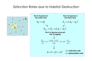 Estimating Extinction Rates: Habitat loss, species-area curves, and the ...