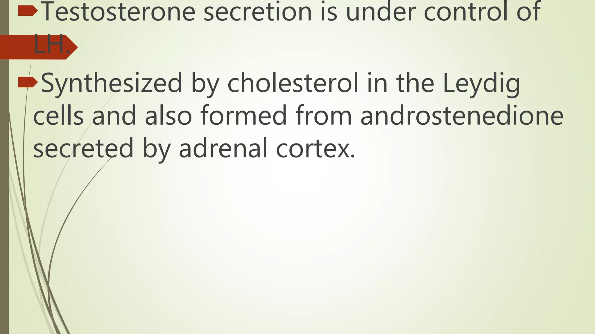 PHYSIOLOGICAL ACTION OF TESTES | PPT