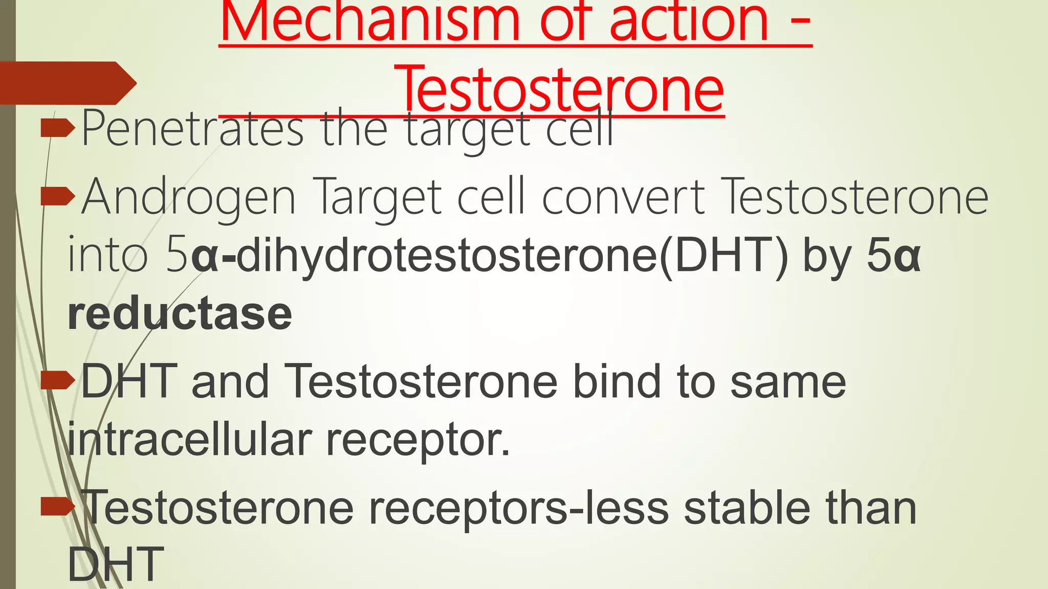 PHYSIOLOGICAL ACTION OF TESTES | PPT