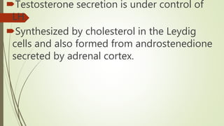 PHYSIOLOGICAL ACTION OF TESTES | PPT