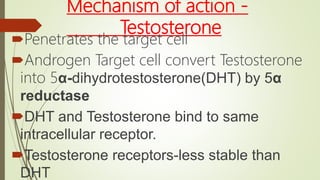 PHYSIOLOGICAL ACTION OF TESTES | PPT