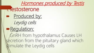 PHYSIOLOGICAL ACTION OF TESTES | PPTX