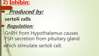 PHYSIOLOGICAL ACTION OF TESTES | PPTX