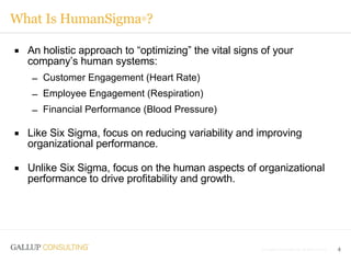 Fl Hs 111407 White | PPT