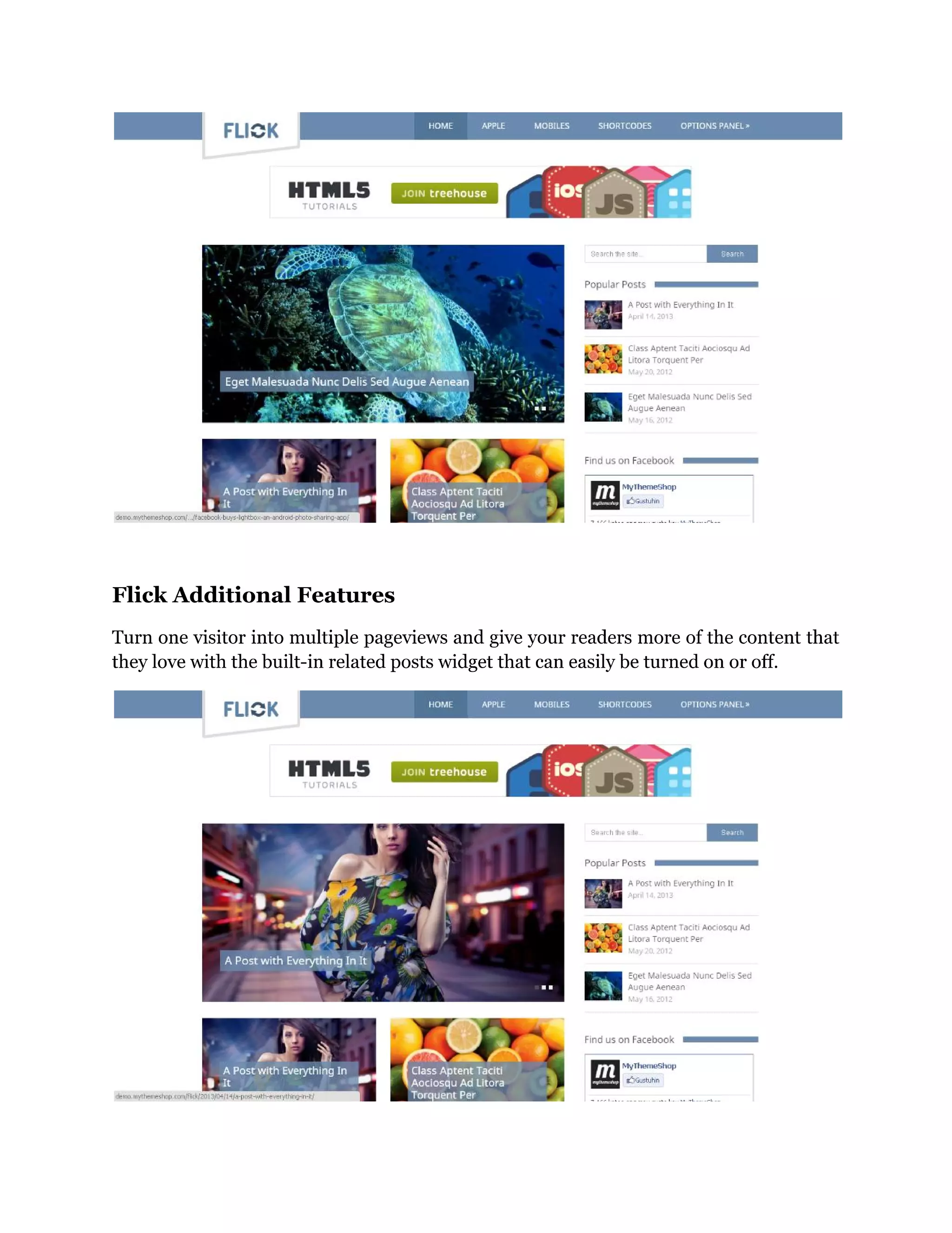 Flick - Media Oriented Wordpress Theme | PDF