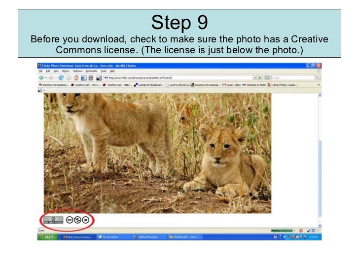 How to Find Flickr Photos with a Creative Commons License
