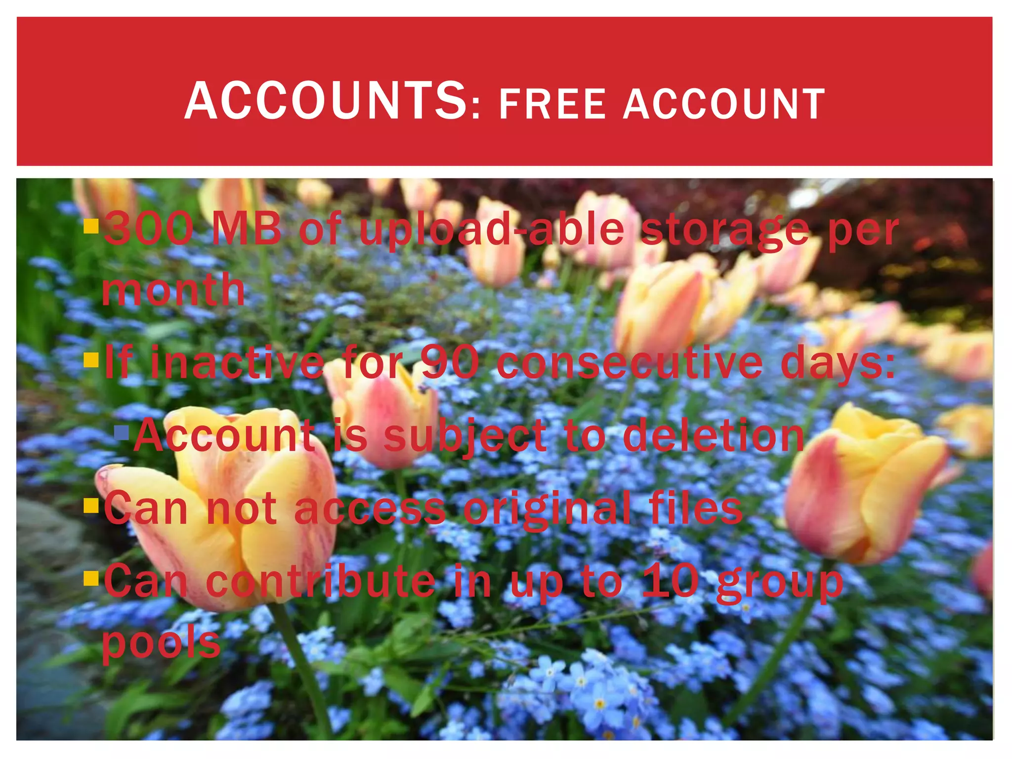 Flickr project | PPTX