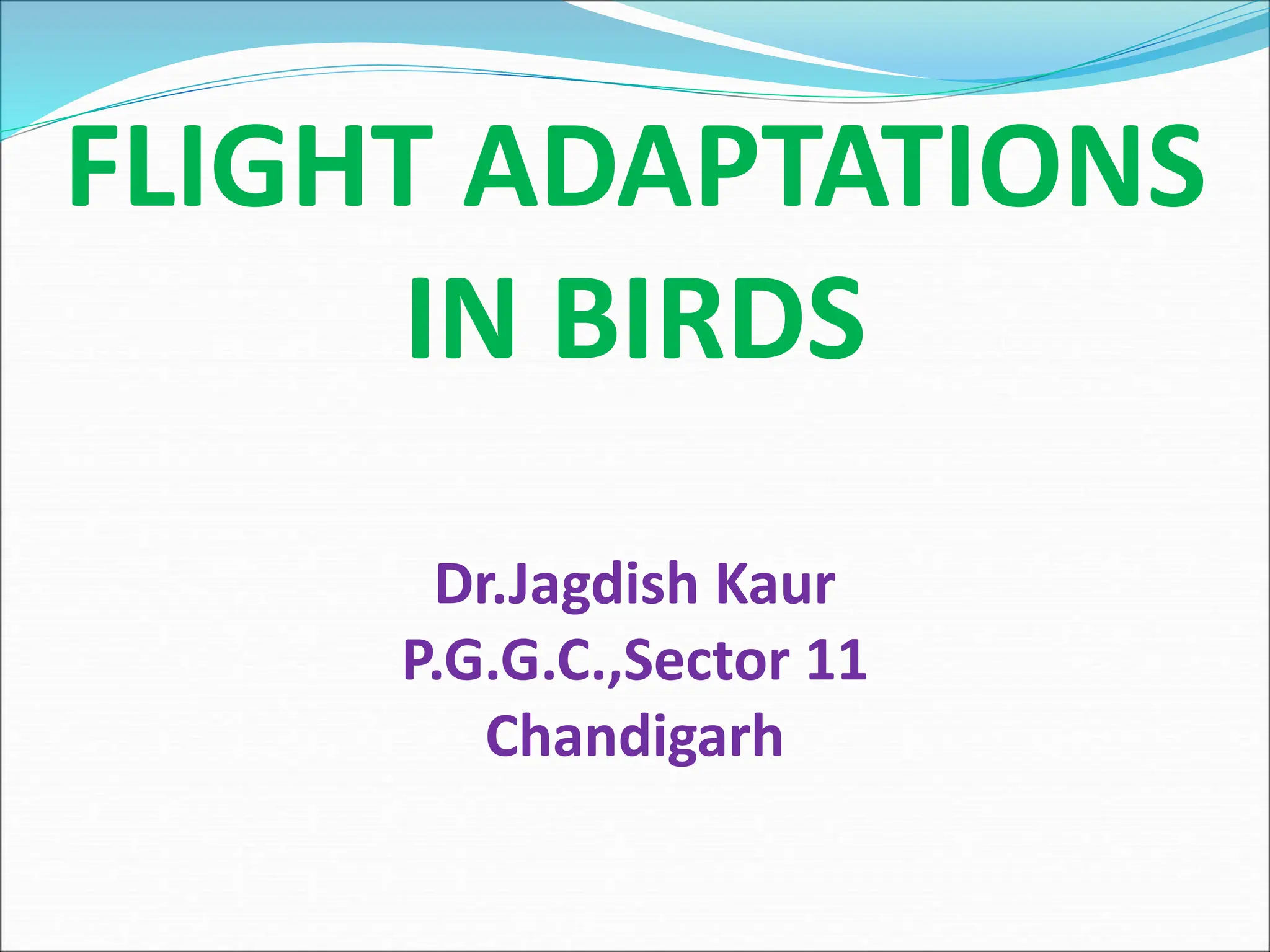 Flight-Adaptation-in-Birds.ppt