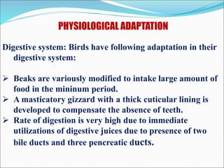 Flight-Adaptation-in-Birds.ppt