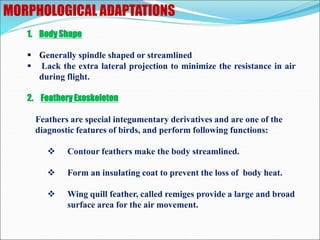 Flight-Adaptation-in-Birds.ppt