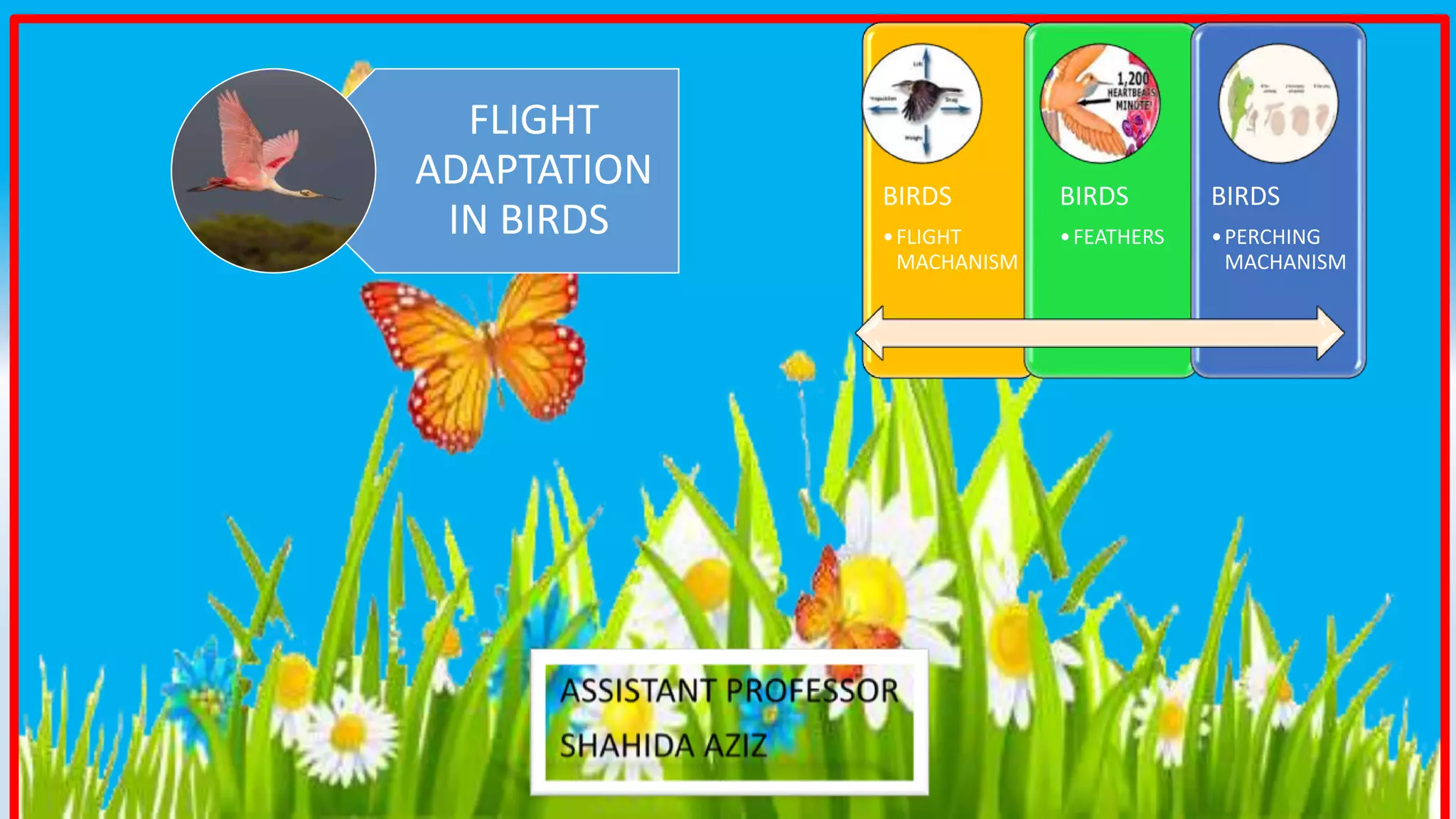 Flight adaptation | PPTX