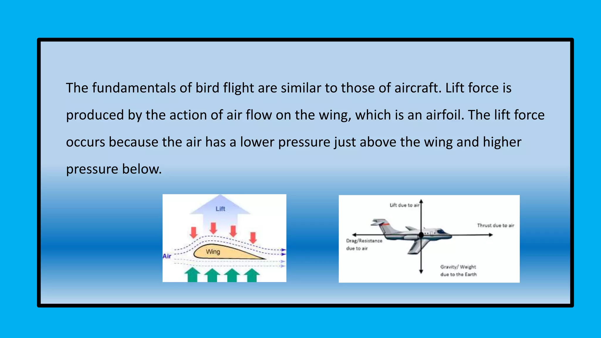 Flight adaptation | PPT