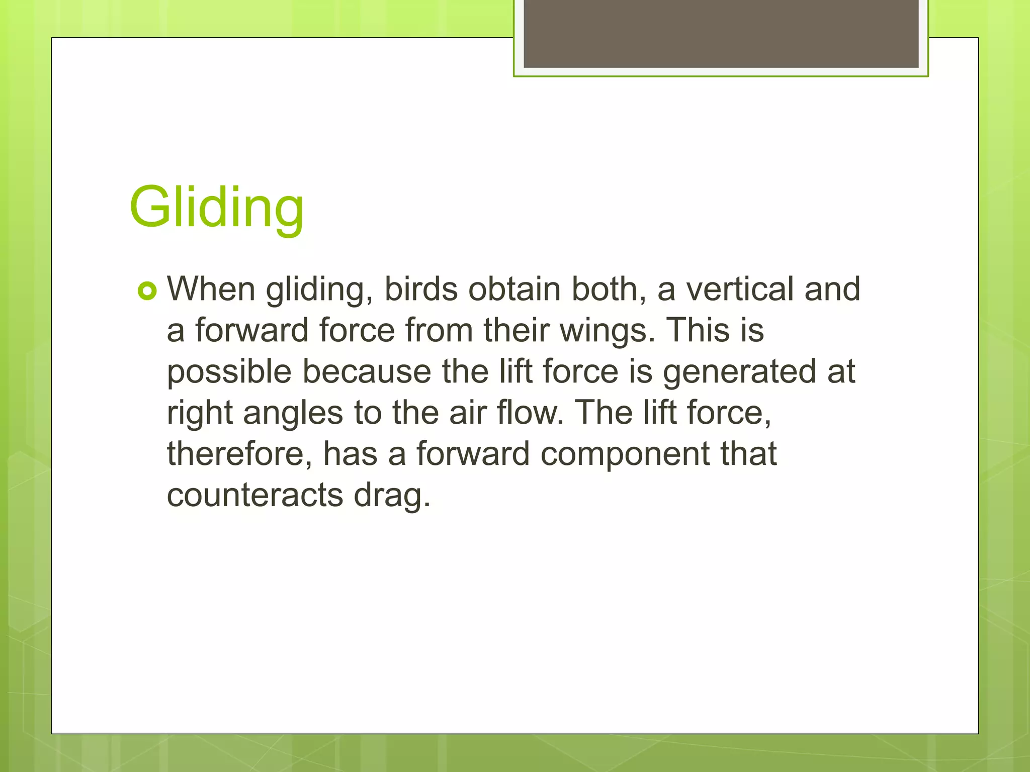 Flight adaptation and Mechanism Of Flight in Birds. | PPTX