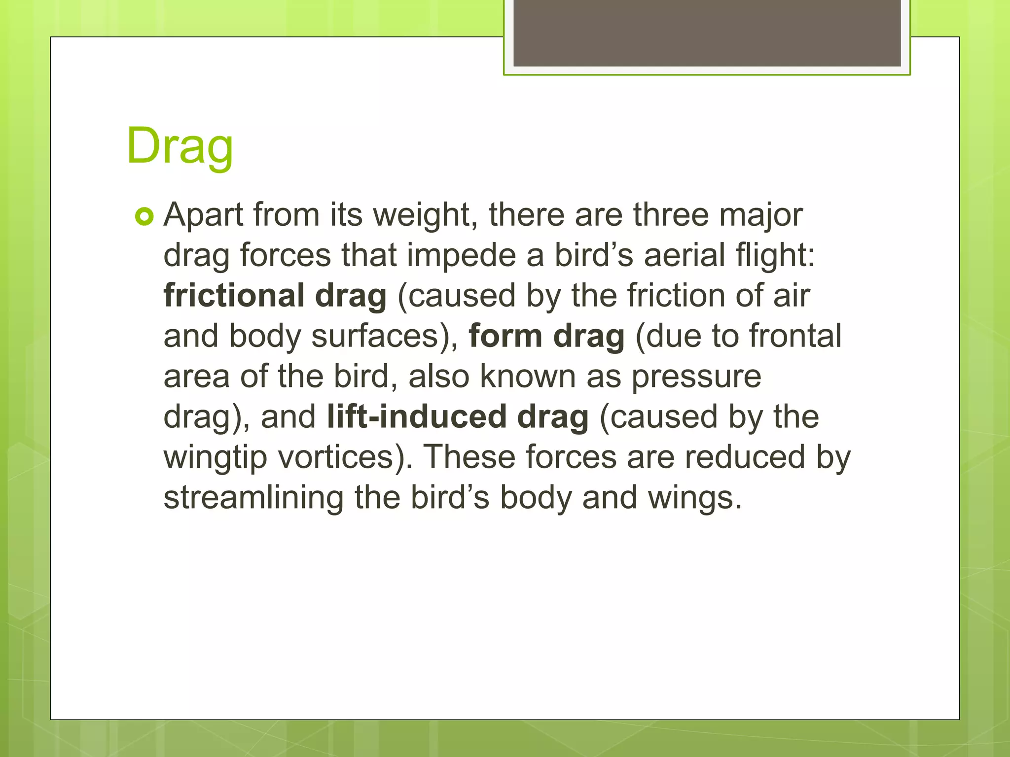 Flight adaptation and Mechanism Of Flight in Birds. | PPTX