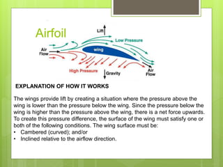 Flight adaptation and Mechanism Of Flight in Birds. | PPTX