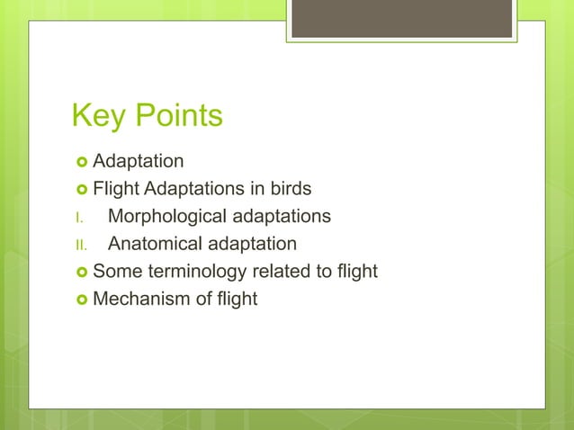 Flight adaptation and Mechanism Of Flight in Birds. | PPTX | Birds | Pets