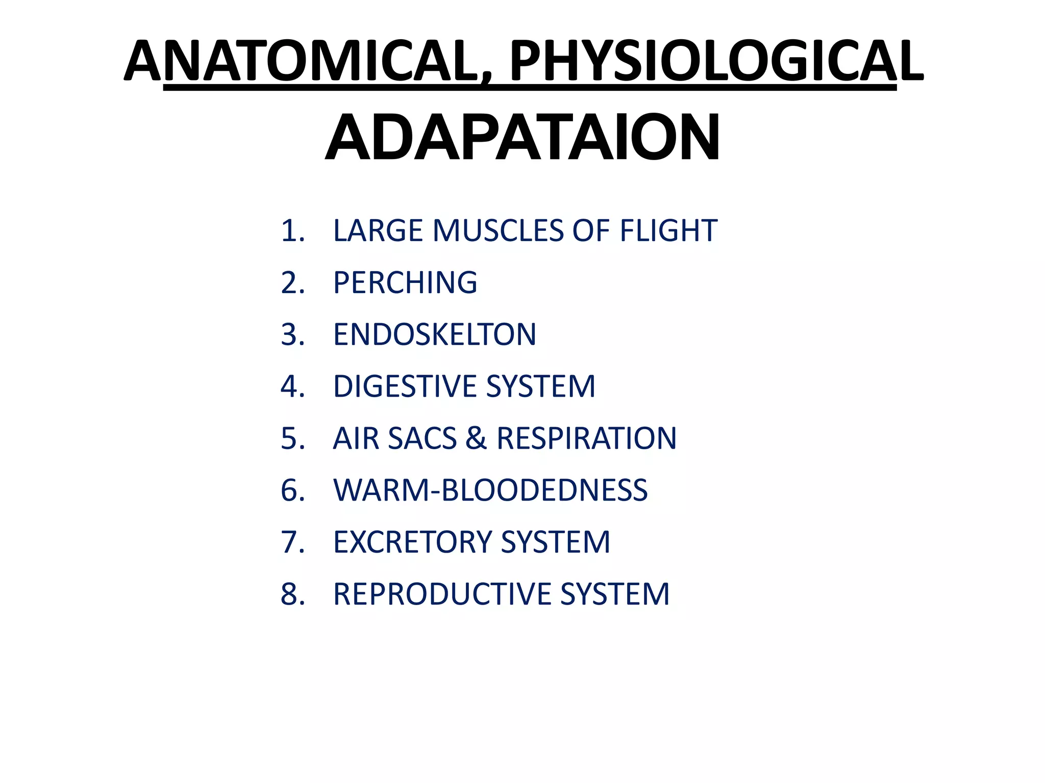 Flight adaptations | PPTX