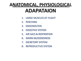 Flight adaptations | PPT