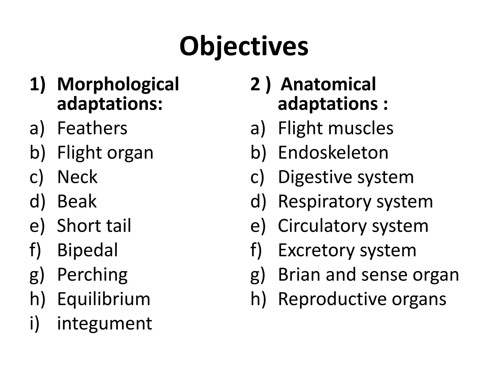 Flight adaptations in birds | PPTX | Birdwatching | Hobbies & Interests