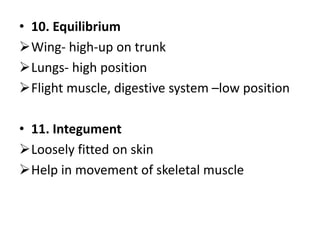 Flight adaptations in birds | PPTX