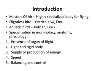 Flight adaptations in birds | PPTX