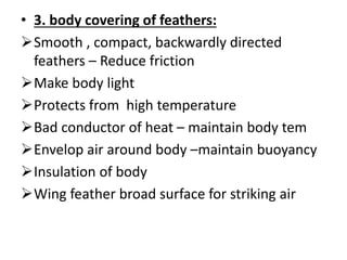 Flight adaptations in birds | PPTX