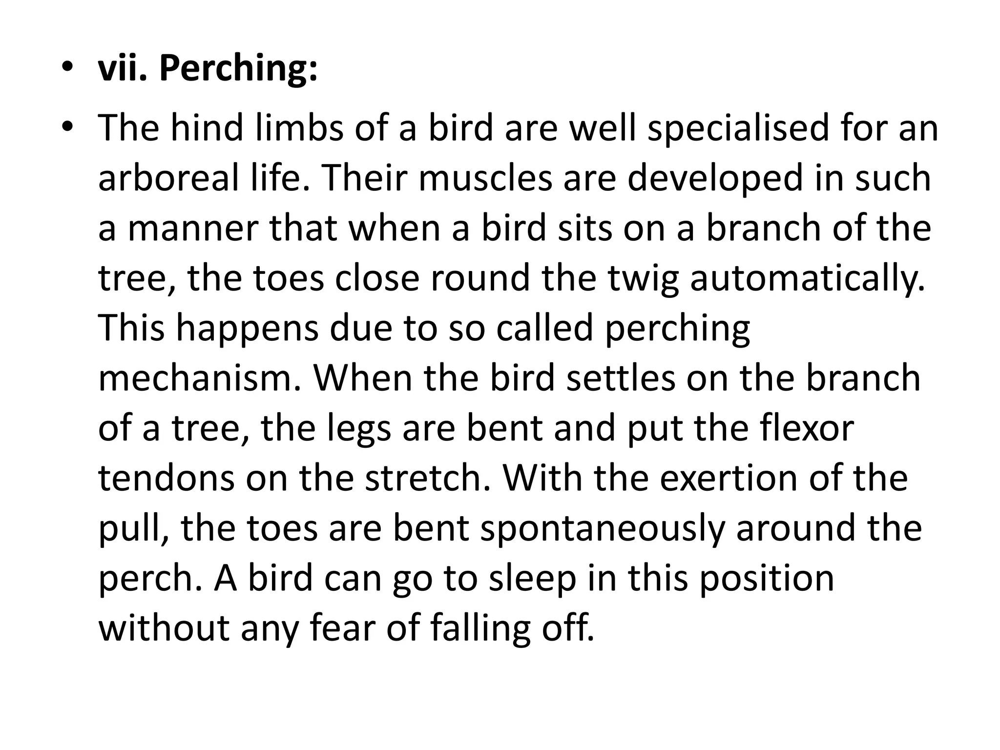 Flight adaptations in birds | PPTX