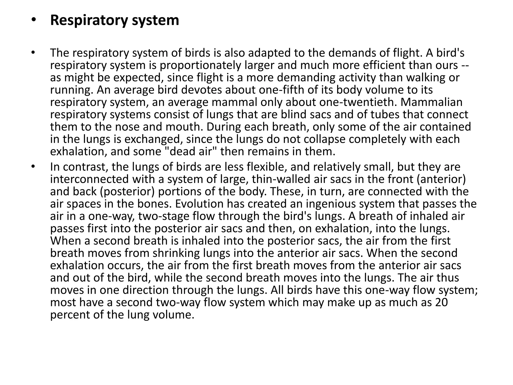 Flight adaptations in birds | PPTX
