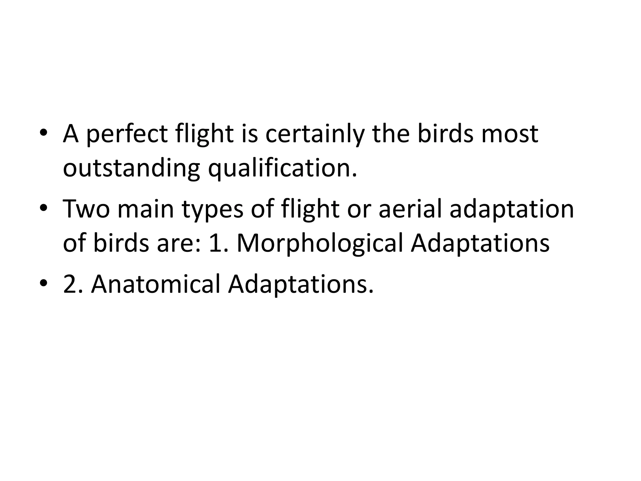 Flight adaptations in birds | PPTX