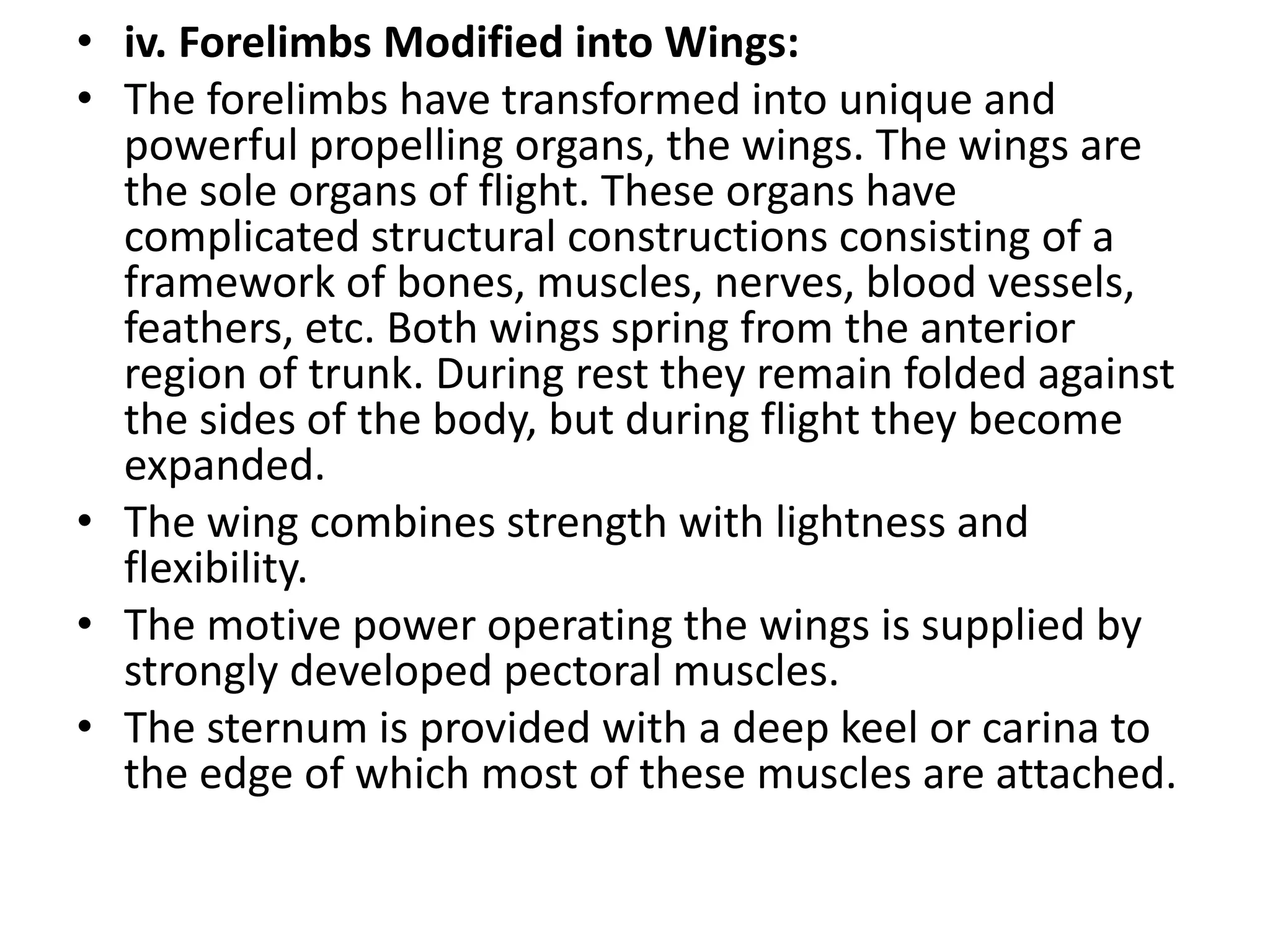 Flight adaptations in birds | PPTX