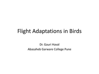 Flight adaptations in birds | PPTX