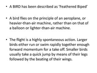 Flight adaptations in birds | PPTX
