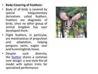 Flight adaptations in birds | PPTX
