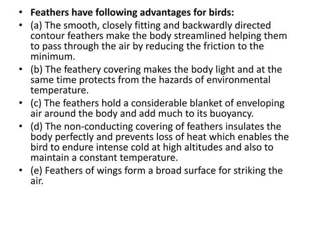 Flight adaptations in birds | PPTX | Birdwatching | Hobbies & Interests