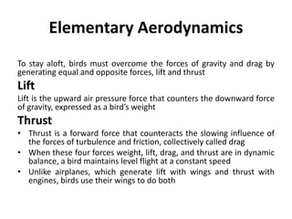 Flight in Birds.pptx