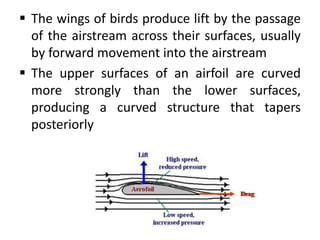 Flight in Birds.pptx