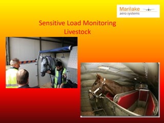 Flightmaster sentry presentation | PPTX