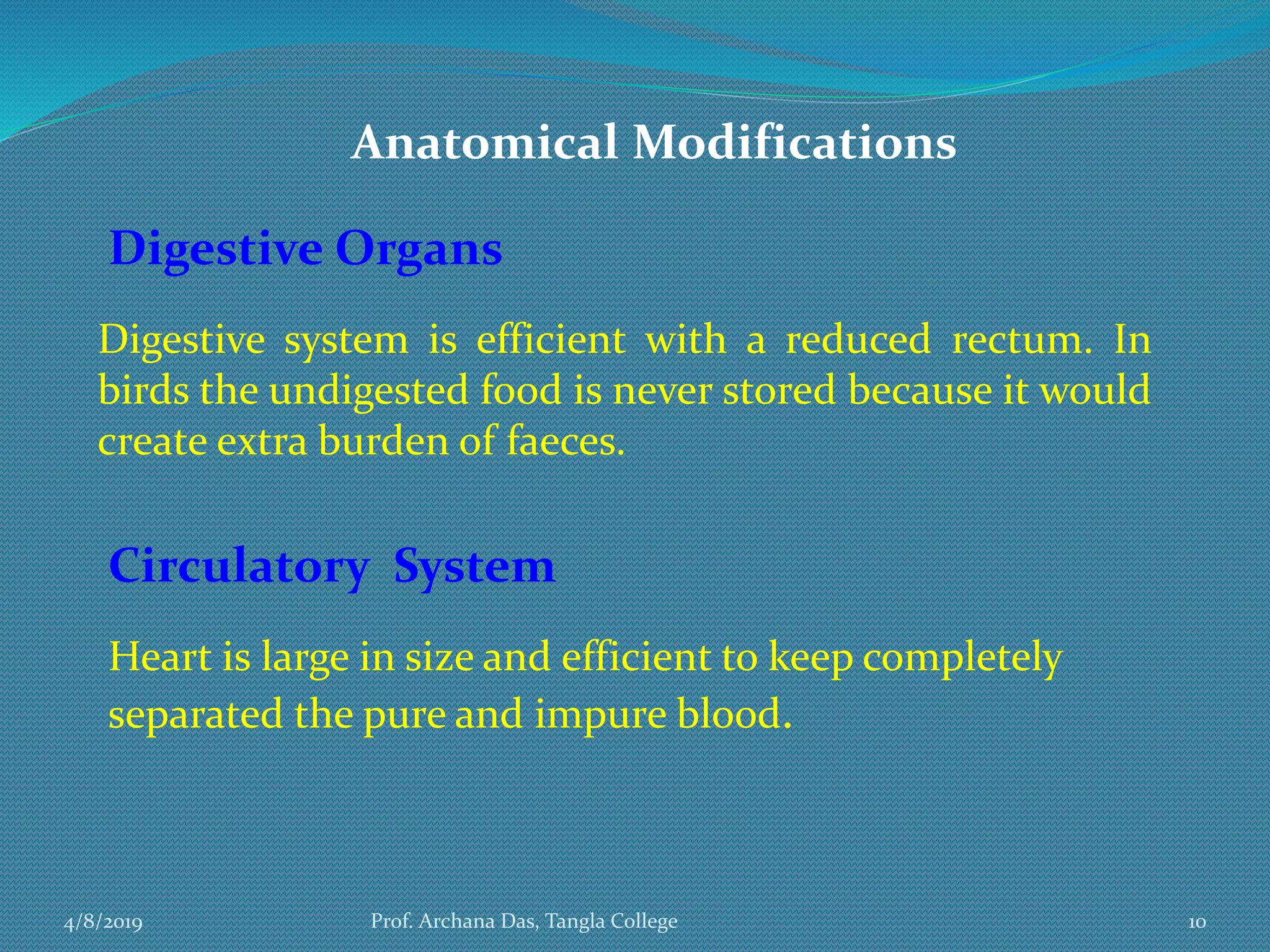 Flight Mechanism in Birds | PPTX