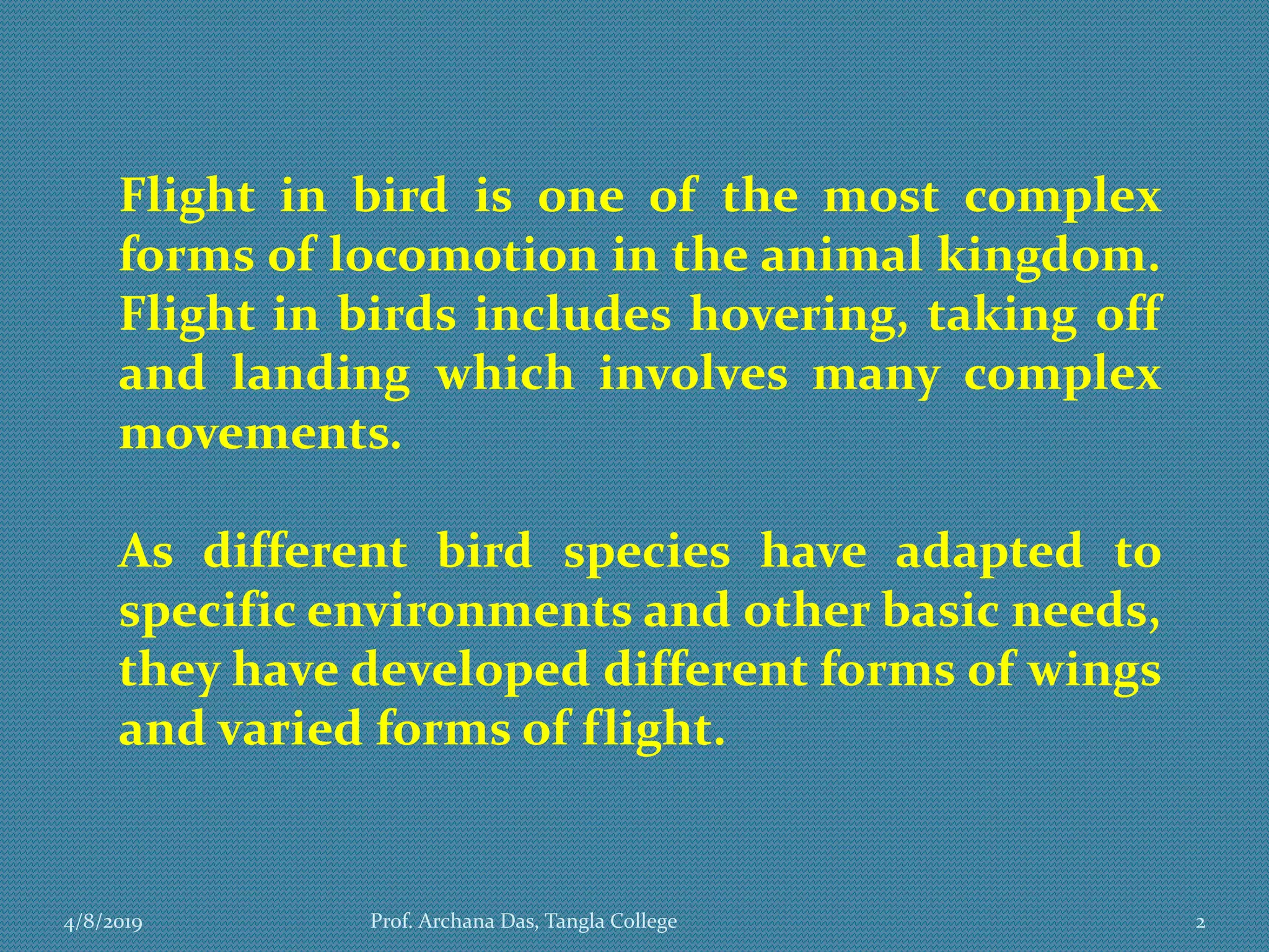 Flight Mechanism in Birds | PPTX