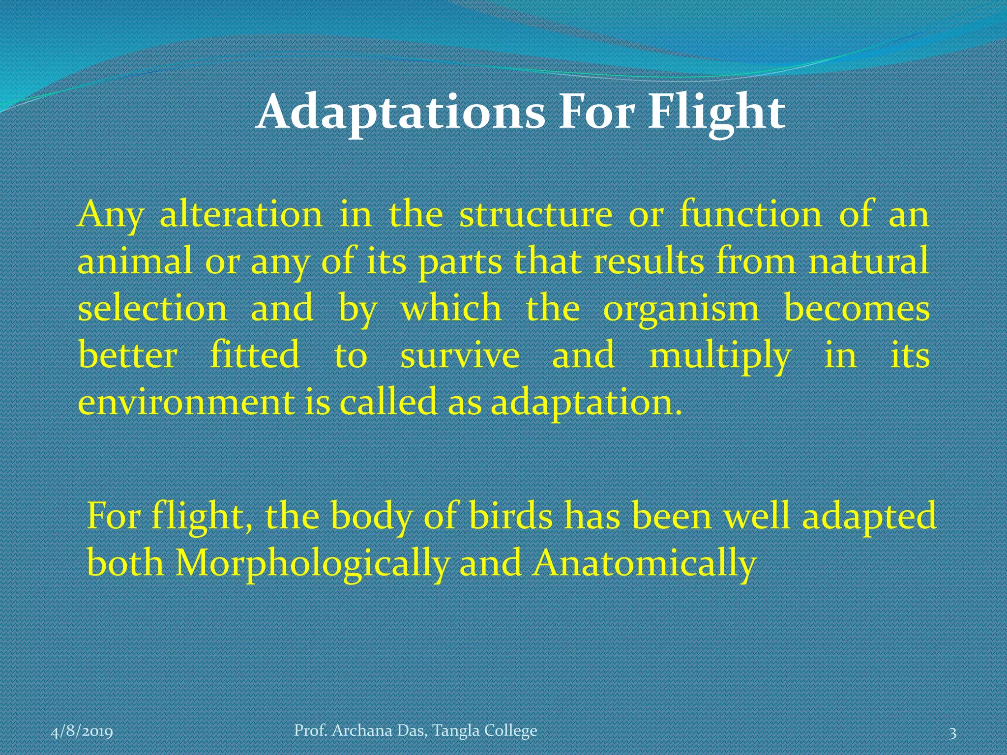 Flight Mechanism in Birds | PPTX