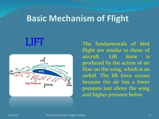 Flight Mechanism in Birds | PPTX