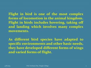 Flight Mechanism in Birds | PPTX